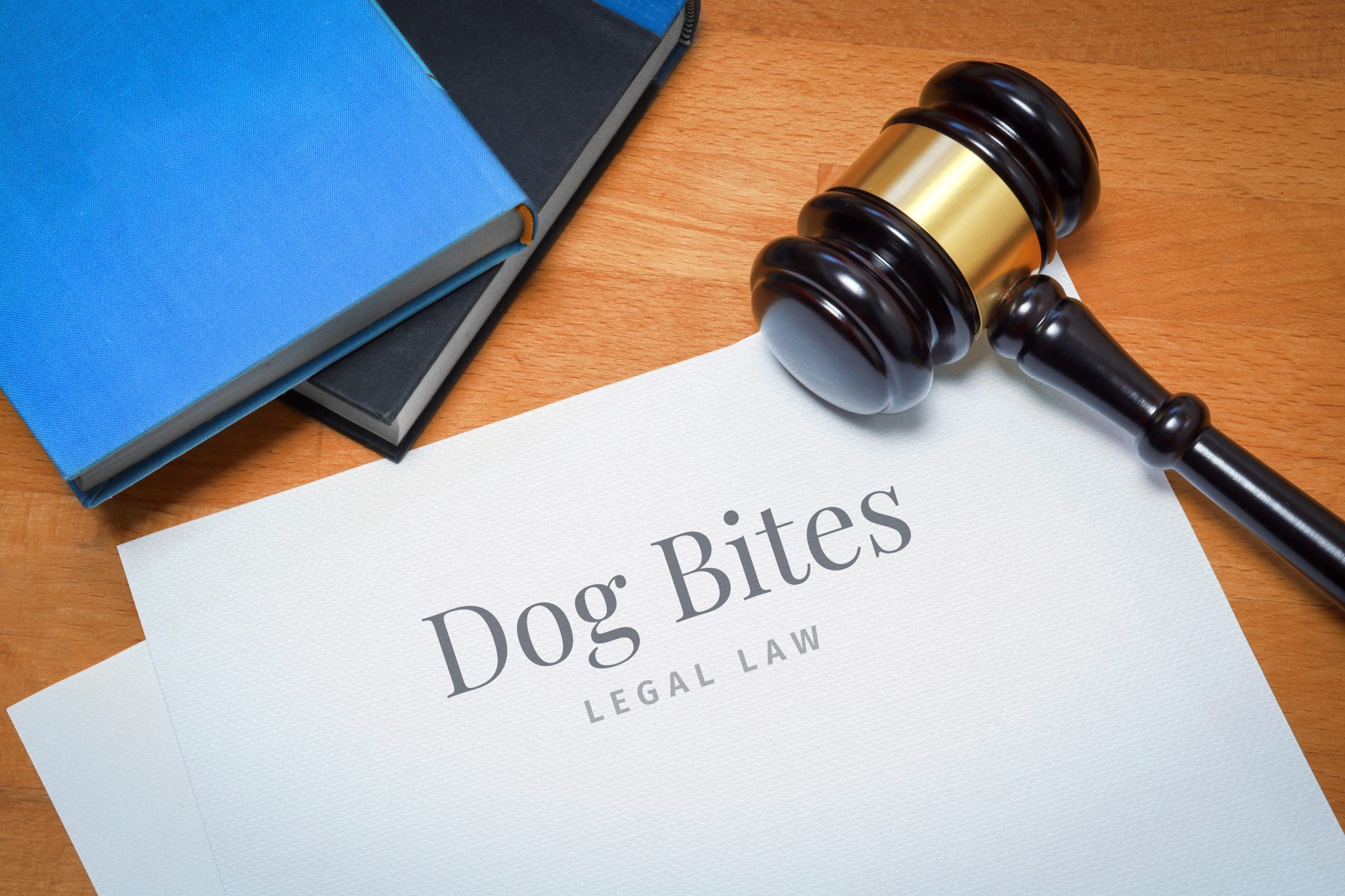 Understanding Colorado's Dog Bite Laws - The Law Offices of W. Dan ...